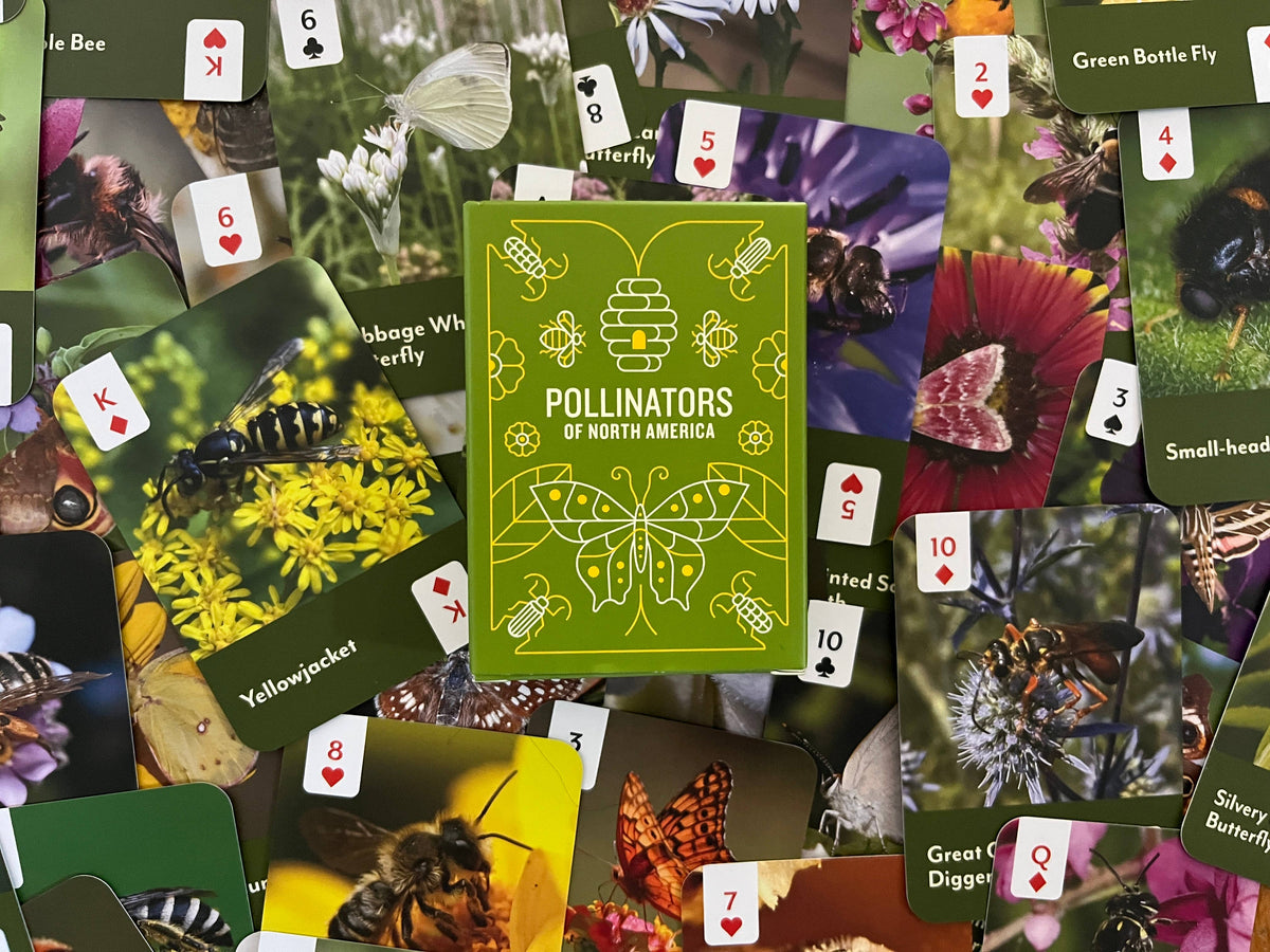 Pollinators of North America - Deck: 52 Playing Cards – Astor Apiaries