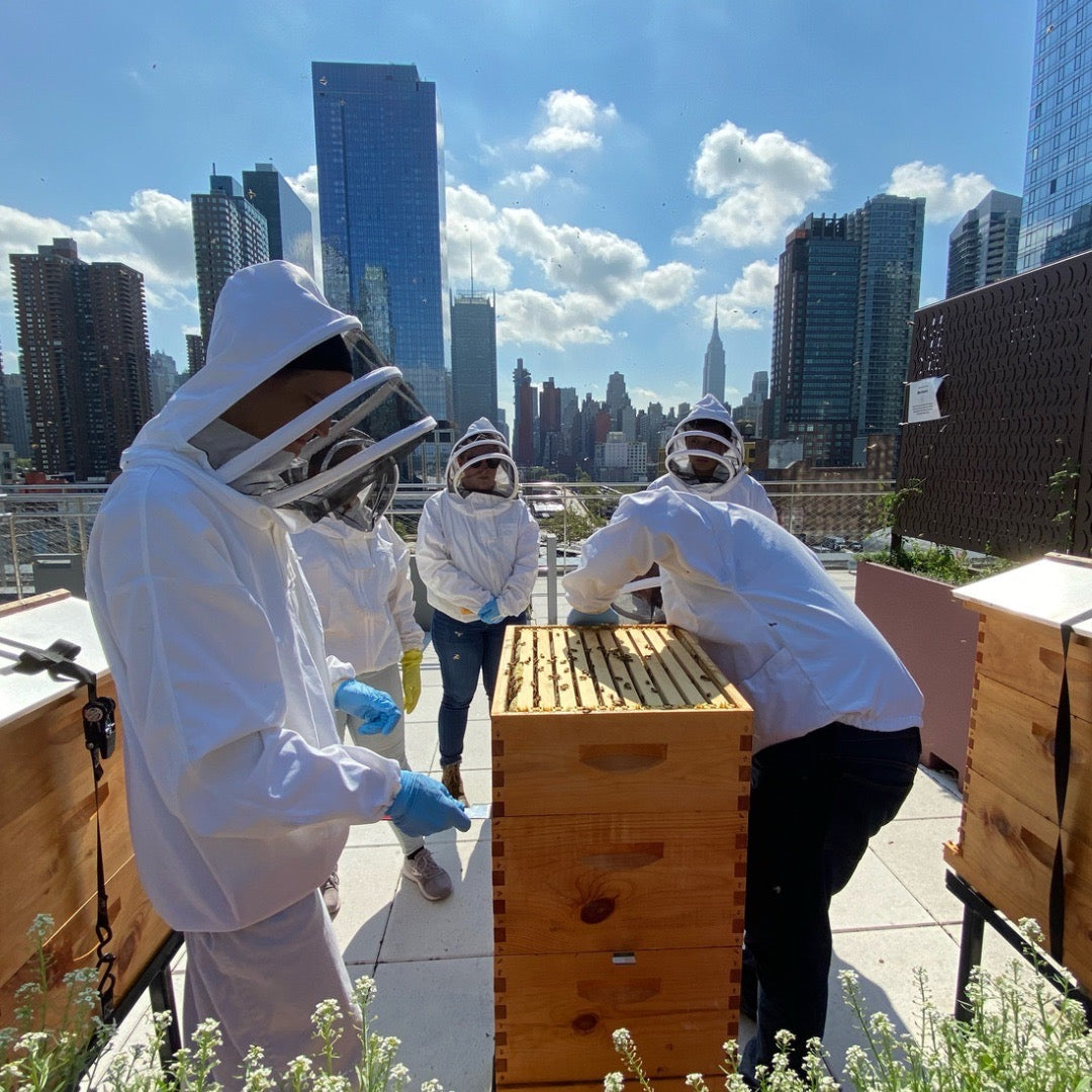 New Beekeeper? Get Expert Help Now! – Astor Apiaries