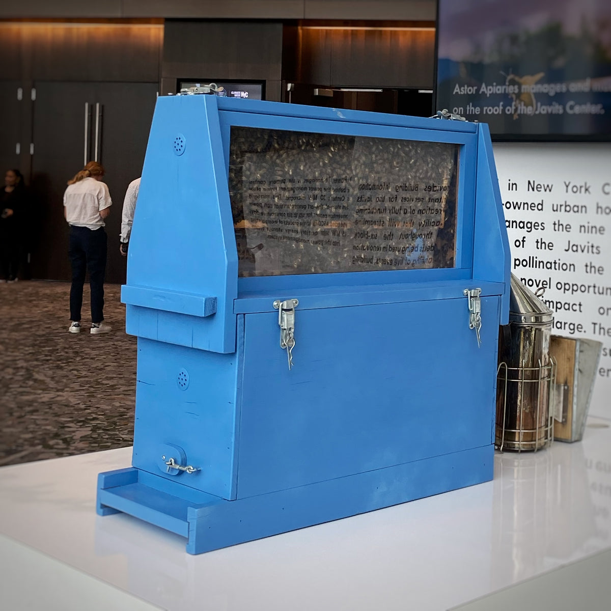 Observation Hive Rental – Astor Apiaries